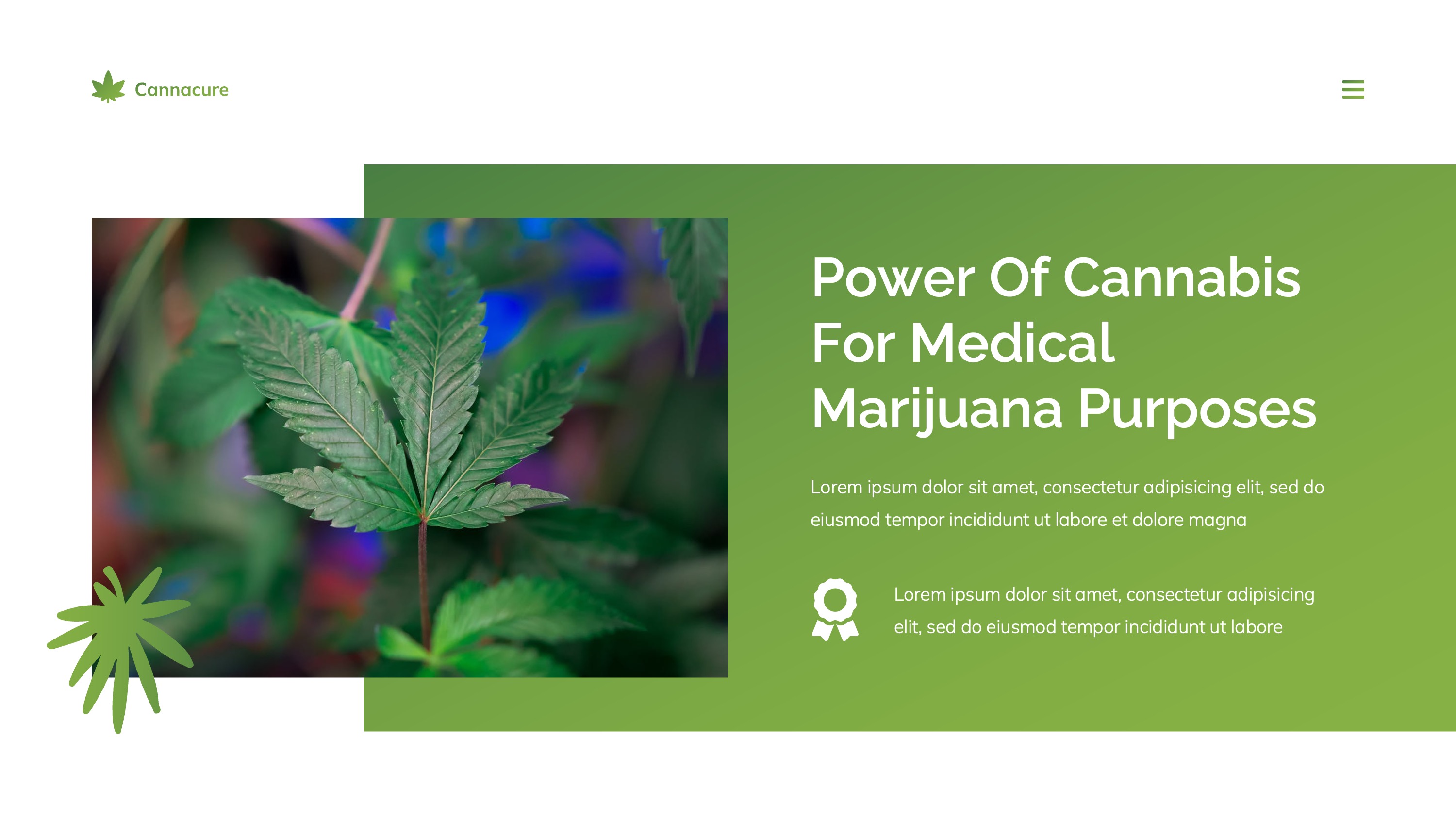 Medical Marijuana Powerpoint Presentation Templates Graphicriver